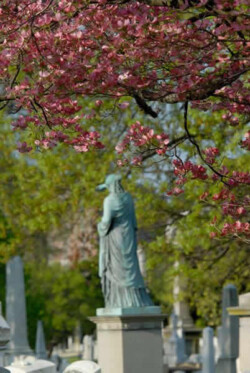 Image Gallery - Green Mount Cemetery