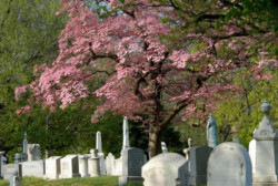 Image Gallery - Green Mount Cemetery