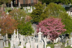Image Gallery - Green Mount Cemetery
