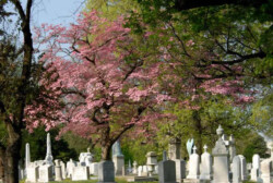 Image Gallery - Green Mount Cemetery